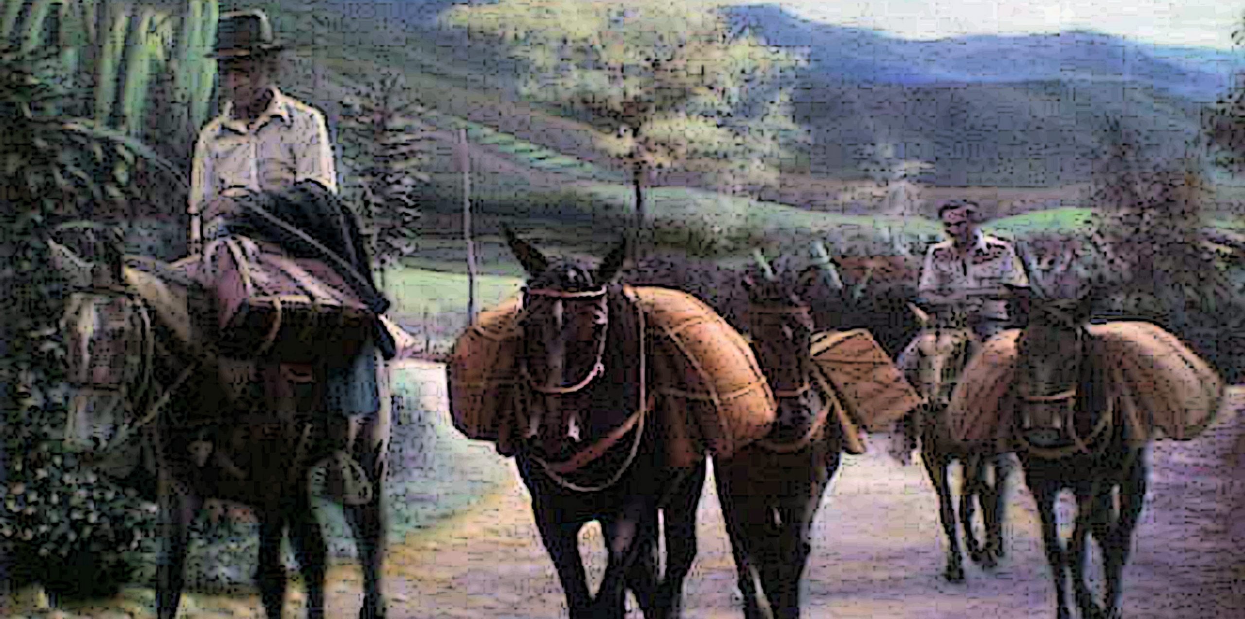 Atahualpa Yupanqui: El camino como destino. - Arpa dormida
